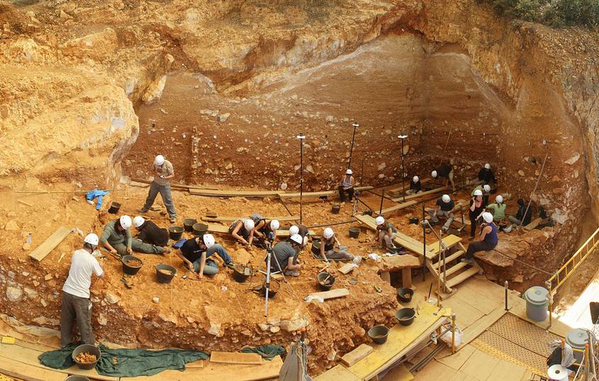 Atapuerca se confirma como único yacimiento con hasta cuatro especies ...