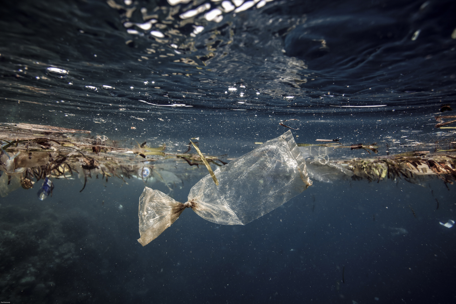 Un estudio revela cómo se forman las grandes islas de basura en el ...