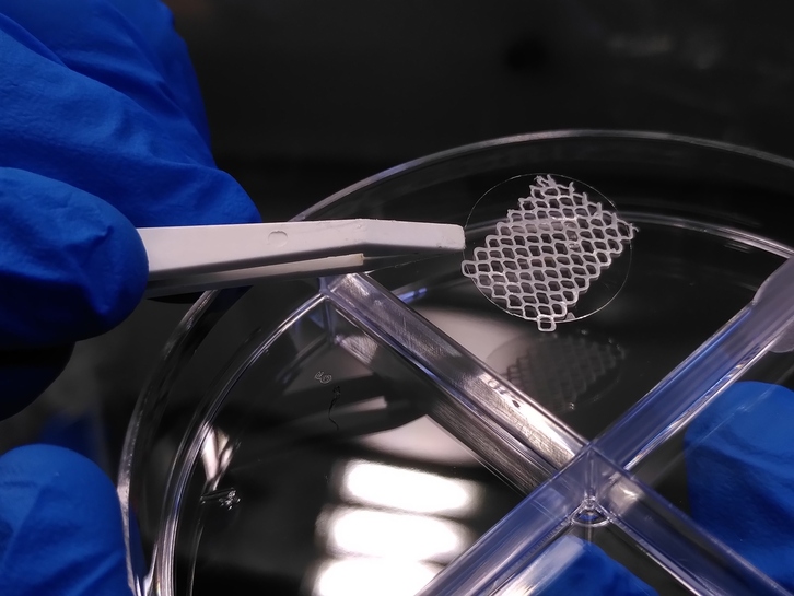 Nanoprint Bio, giza ehunak eta organoak zehatz eta konplexu ...