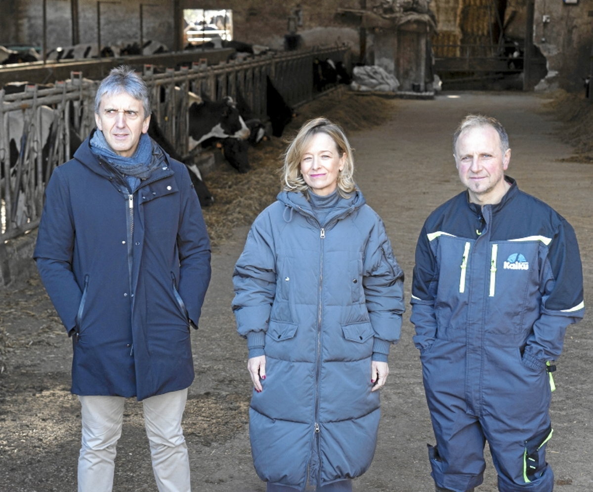 GHEk kaltetutako Gipuzkoako abeltzainentzat 1,1 milioi euro | Ekonomia ...