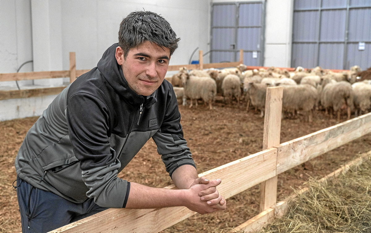 «Berastegin bost artzain gazte asko direla pentsa daiteke, baina lehen ...