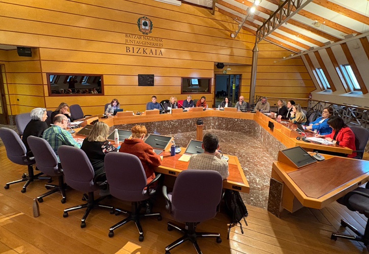 La comisión de las Juntas de Bizkaia aprueba la revisión fiscal de PNV, PSE y Podemos | Economía ...