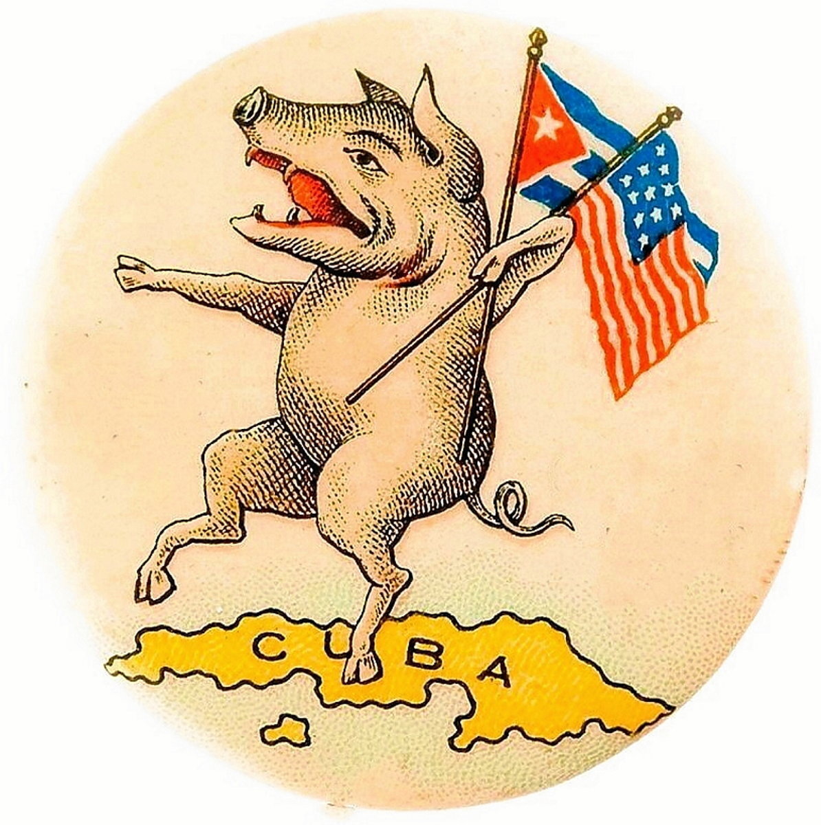 Bonifazio Latxa: txerriak datoz erasoan | Reportajes | 7K - zazpika astekaria