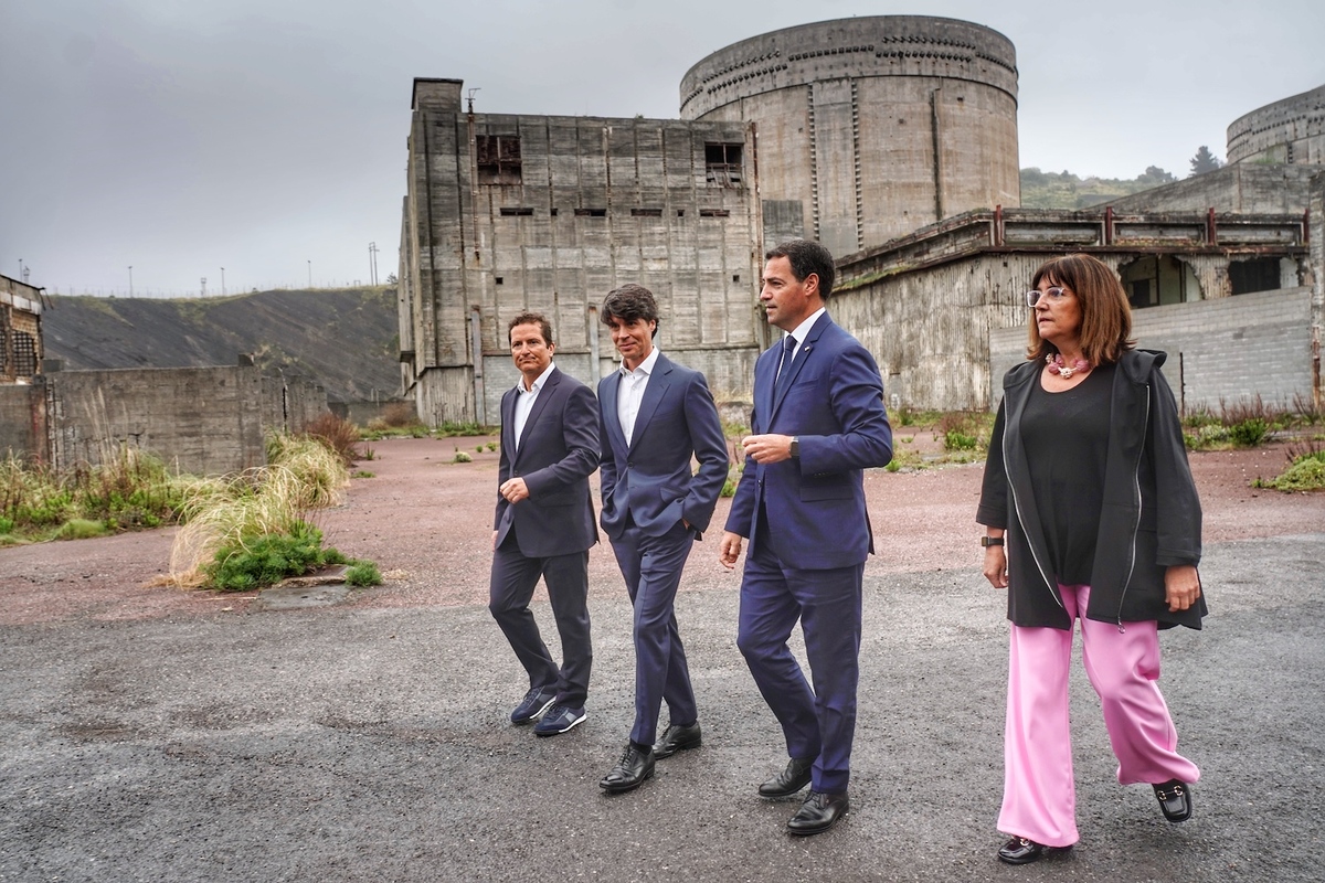 «Lenguados made in Euskadi» para dar uso a las ruinas de la central ...