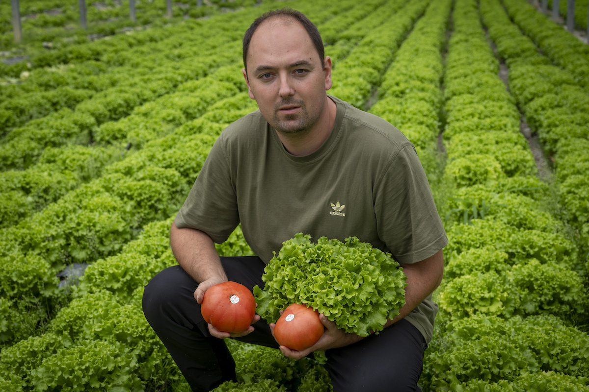 El sabor de la lechuga recién cortada, al alcance de todos en EROSKI ...